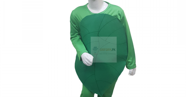 Spinach Costume For Kids Vegetables Kids Costume Buy Online In Pakistan
