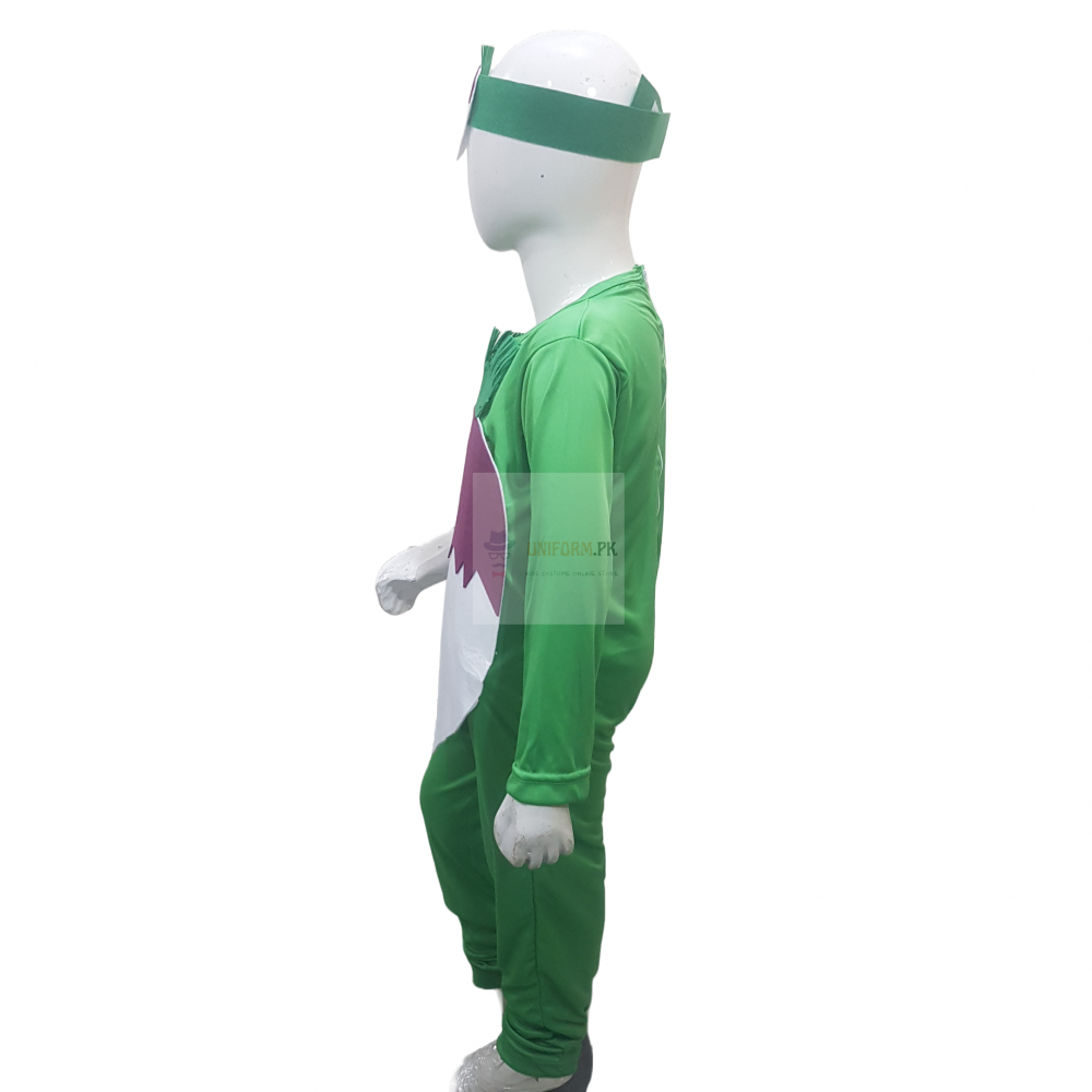 Turnip Shalgam Costume For Kids Vegetables Kids Costume Buy Online In ...
